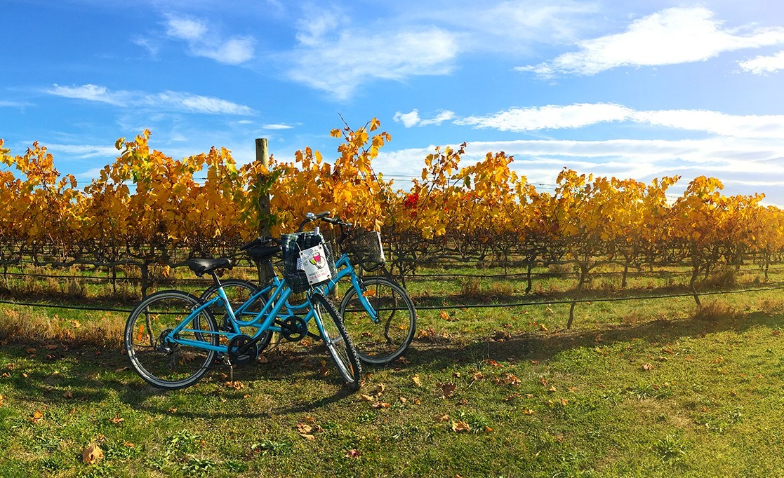 On Yer Bike Hawkes Bay Ltd