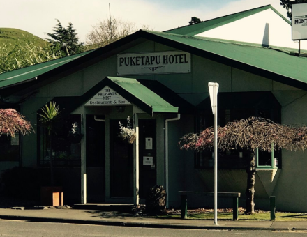 The Puketapu