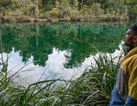 Lake Kaitawa Fairy Springs Track
