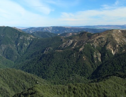 Kaweka Heritage Trail