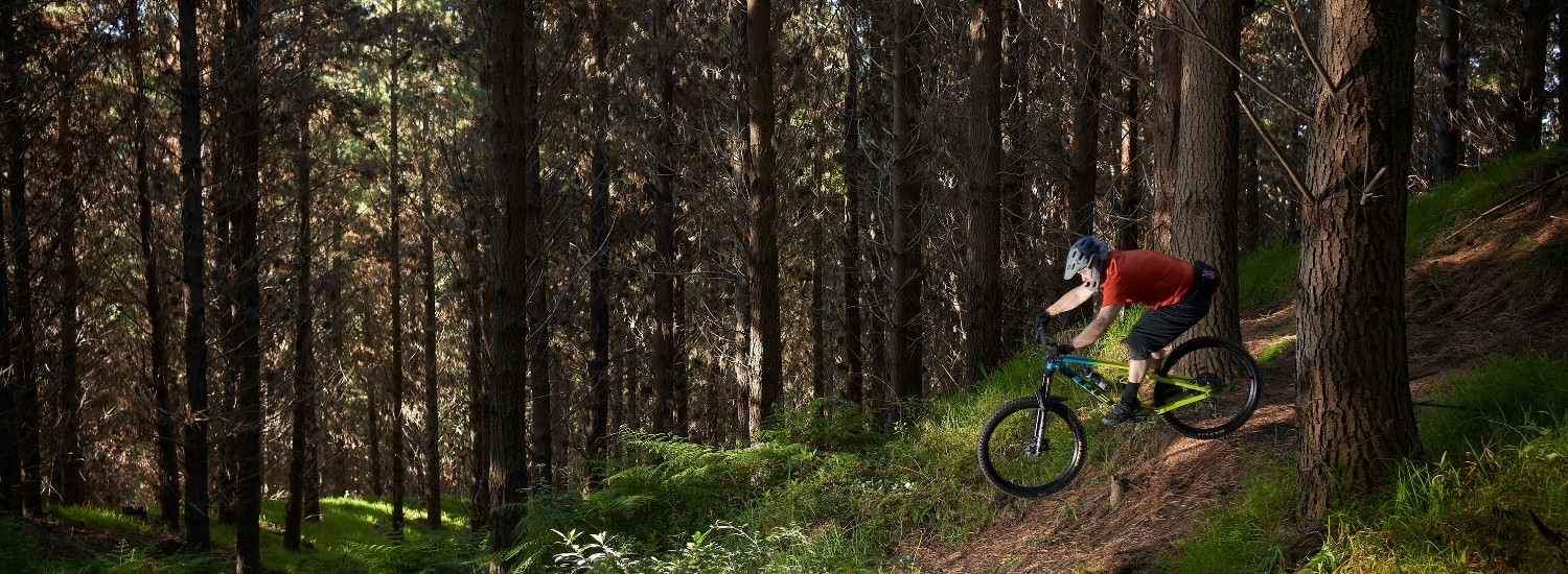 Pan Pac Mountain Bike Park