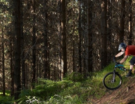 Pan Pac Mountain Bike Park