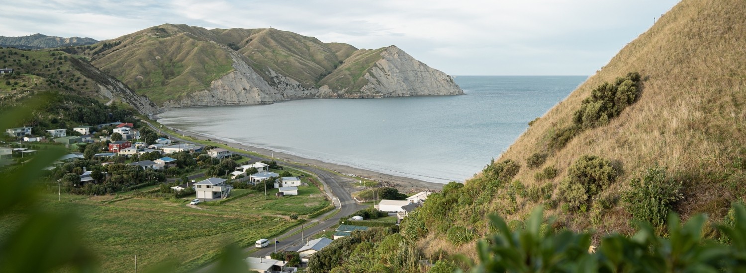 Taylor's Bay