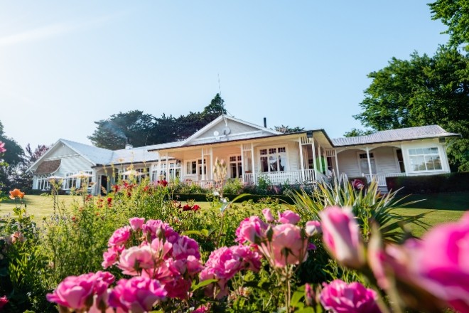 Napier Golf Club