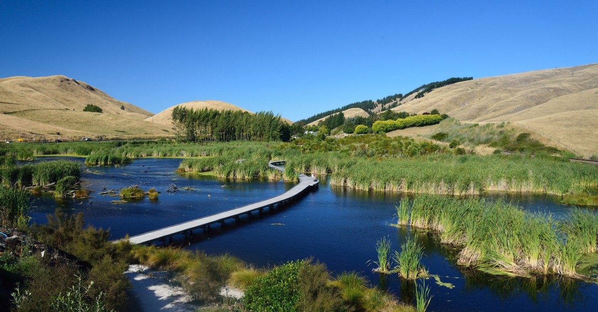 Wildlife & Wetlands | Hawke's Bay